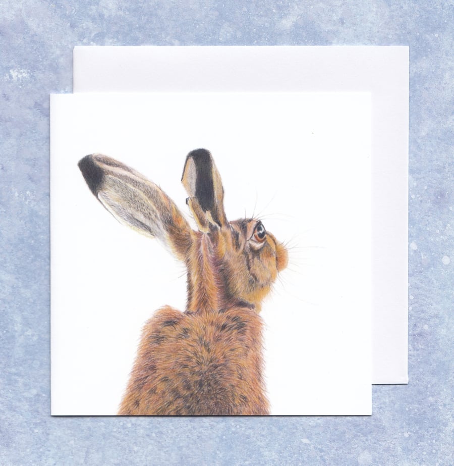 Hare Greetings Card - Folksy