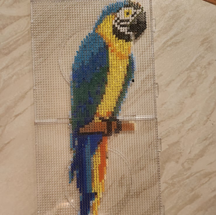 Hama bead Blue Macaw framed wall picture - Folksy