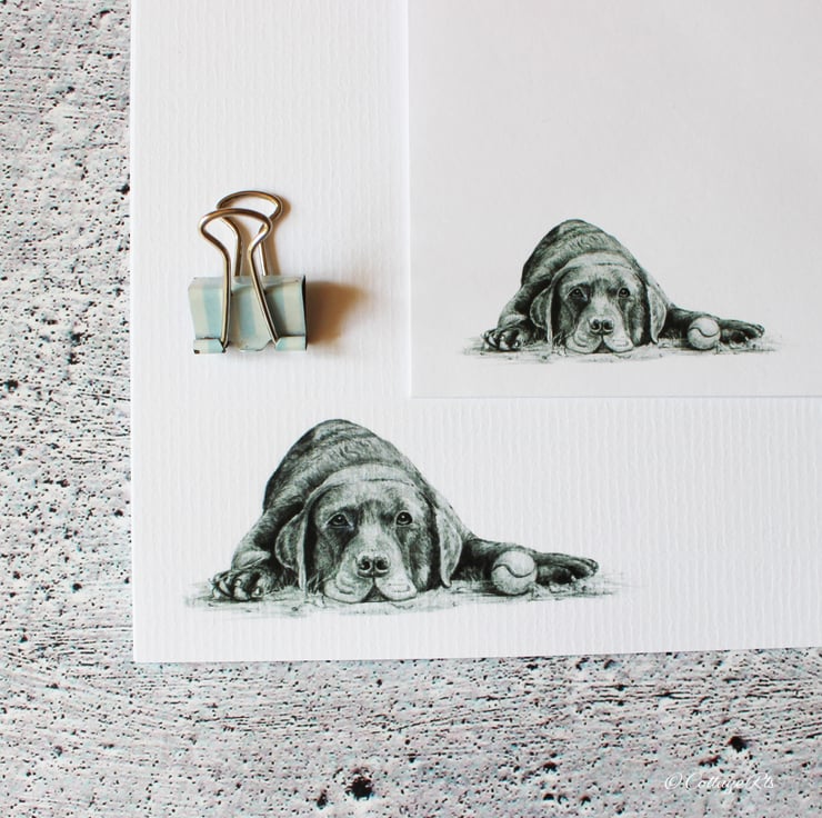 Letter Writing Paper With Labrador Design By Co... - Folksy