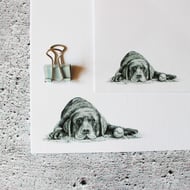 Letter Writing Paper With Labrador Design By Co... - Folksy
