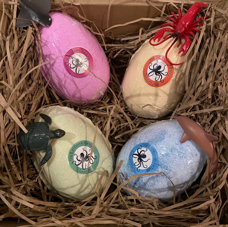 Beautiful Natural Sea Creature Surprise Bath Bo... - Folksy