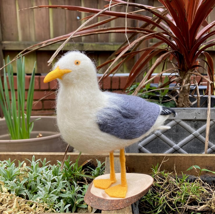 Seagull sculpture, needle felted woollen model - Folksy