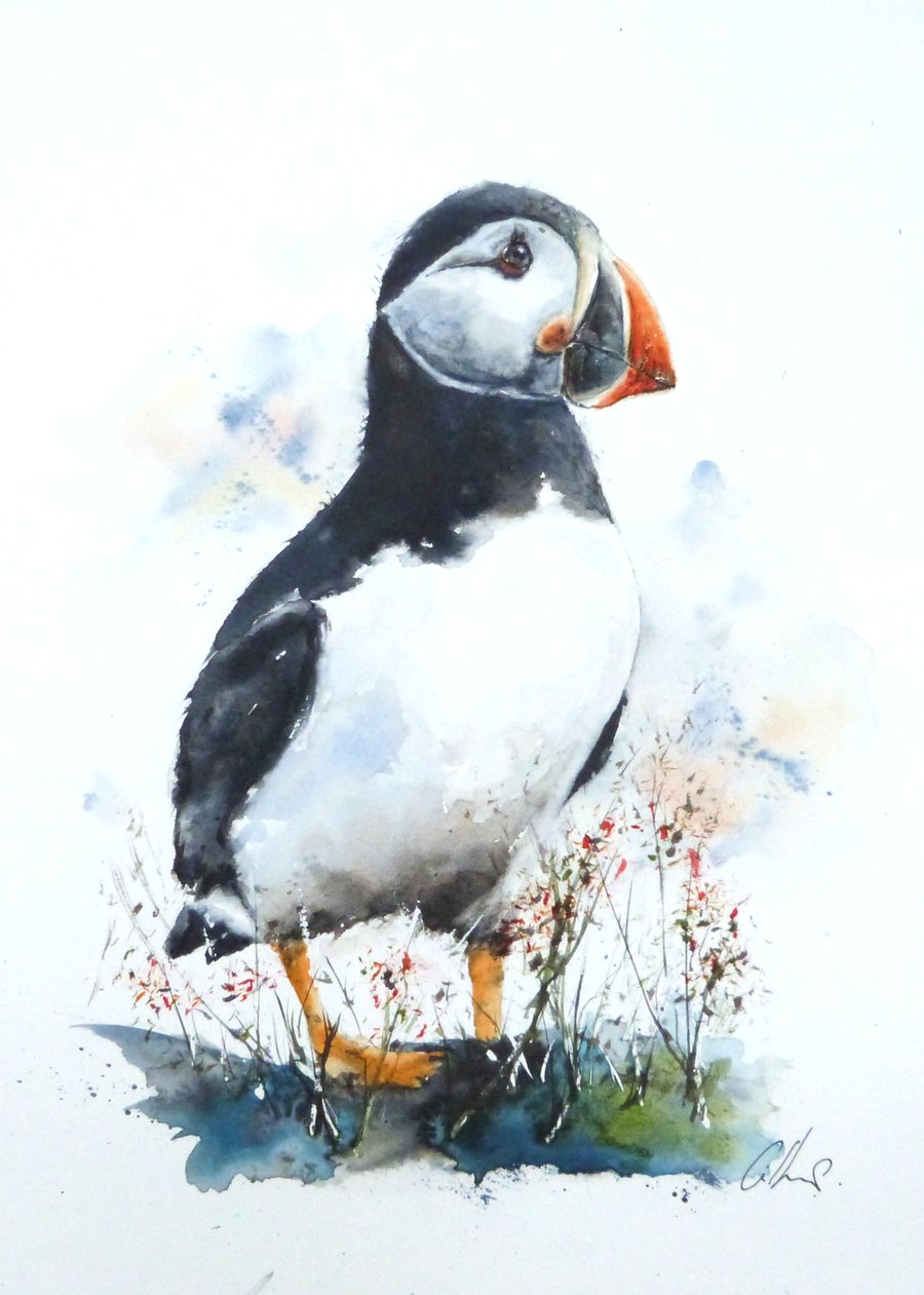 The Puffin, Original Watercolour Painting. - Folksy