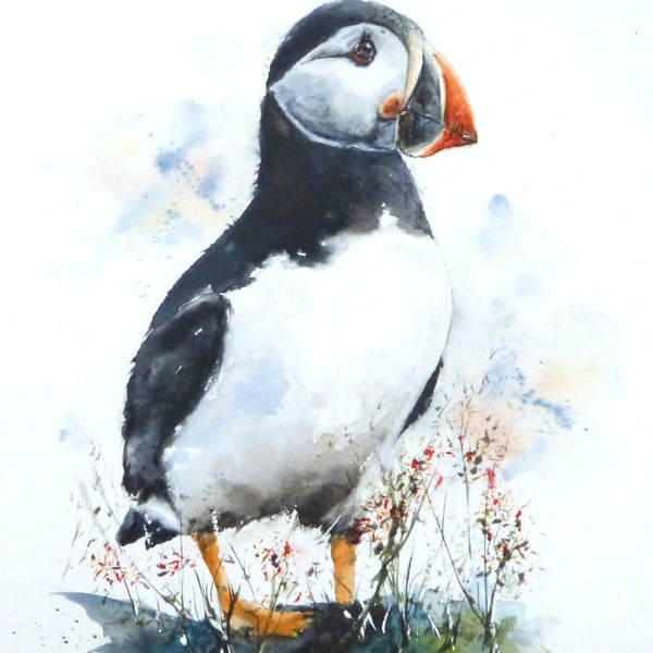 The Puffin, Original Watercolour Painting. - Folksy