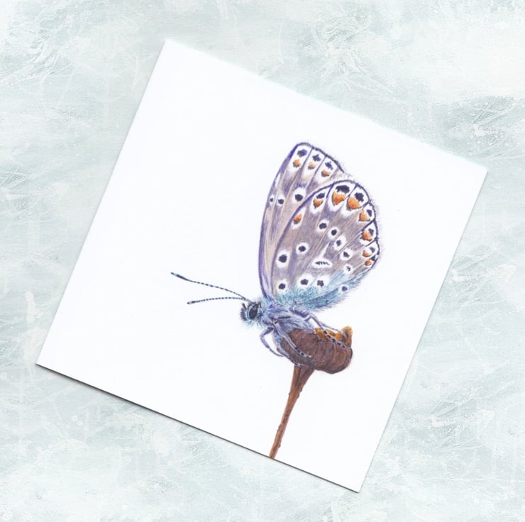 Butterfly Greetings Card - Folksy