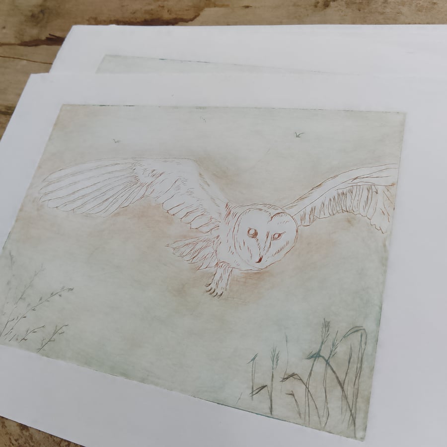 Barn owl colour drypoint - Folksy