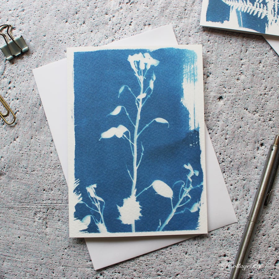 Honesty Plant Botanical Cyanotype Greeting Card... - Folksy