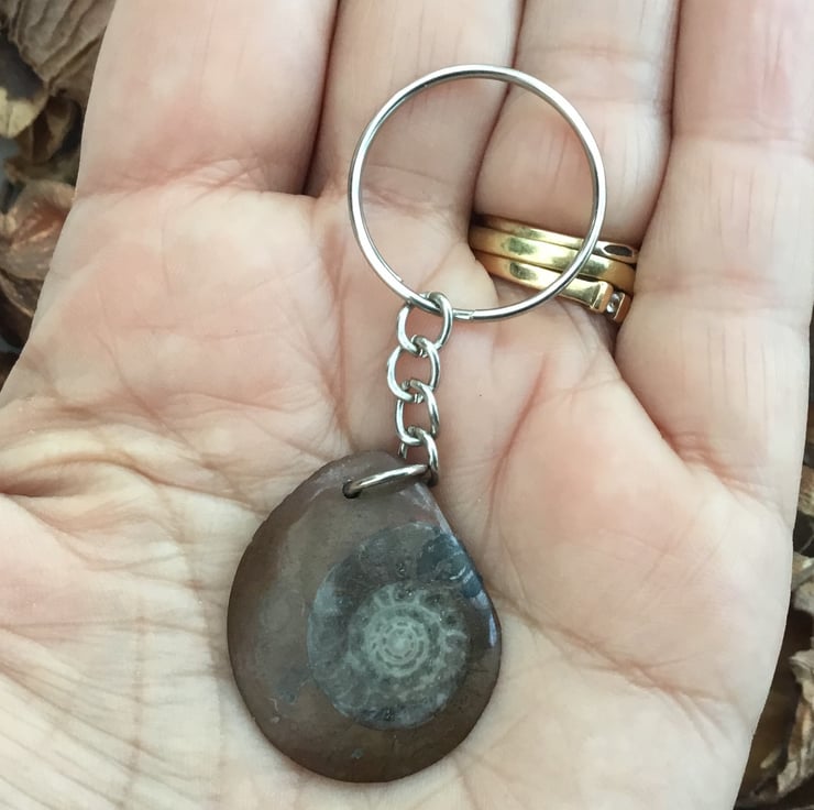 Pretty Little Ammonite Fossil Keyring or Handba... - Folksy