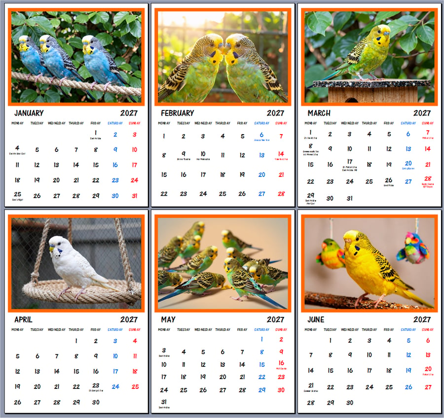 2027 Calendar Budgie Birds A4 Size Wall Hanging - Folksy