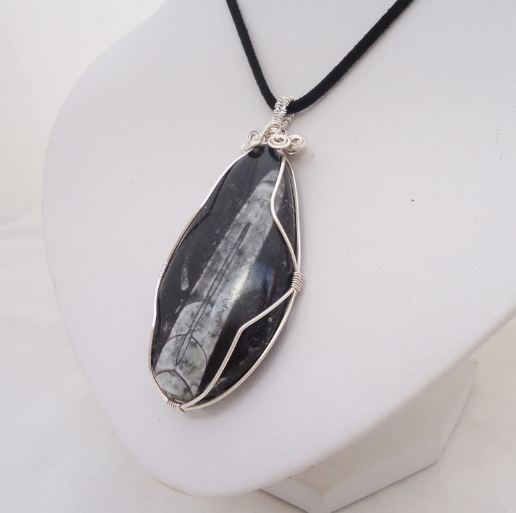 Fossil Pendant, Fossil Wire Wrapped Pendant, Fo... - Folksy