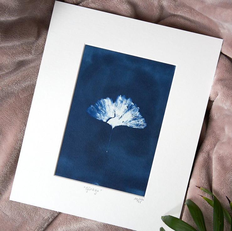 cyanotype print: "Ginkgo". Original, ... - Folksy
