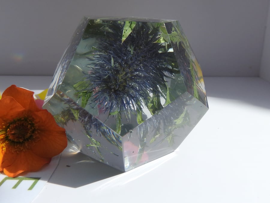 Real Flower Thistle Geodesic - Gift for Gardene... - Folksy