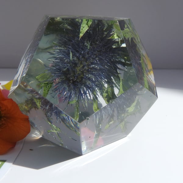 Real Flower Thistle Geodesic - Gift for Gardene... - Folksy