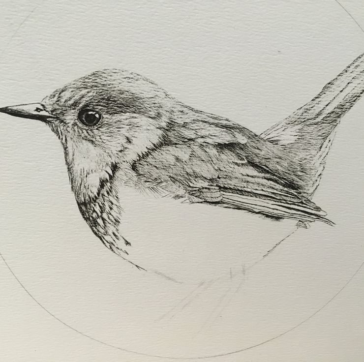 A4 Robin Pen and Ink drawing ORIGINAL - Folksy