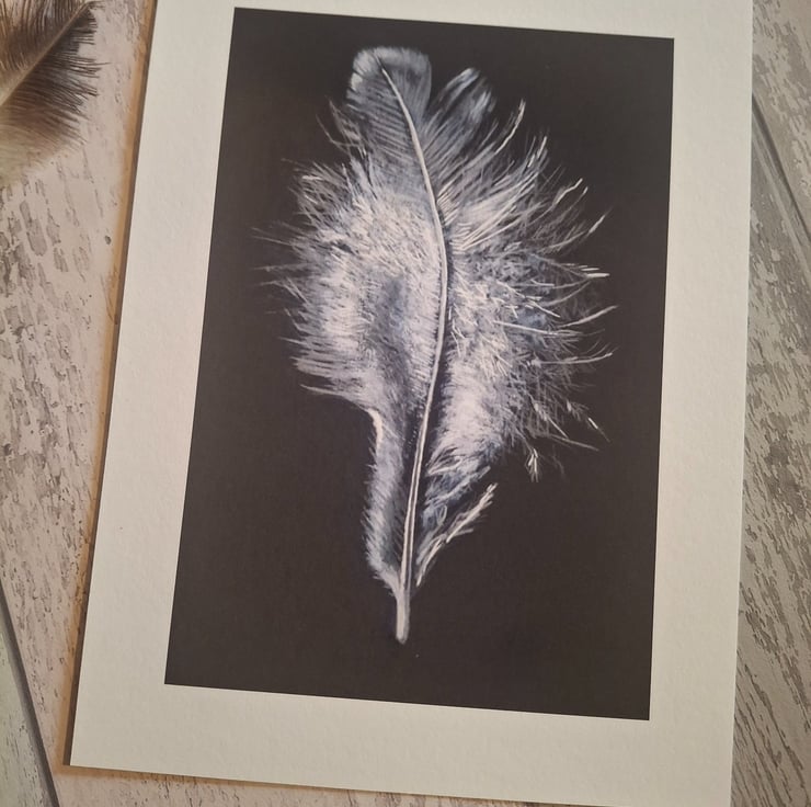 White feather drawing, Giclee prints, White on ... - Folksy