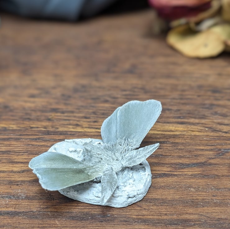 Small Moth Sculpture - Folksy