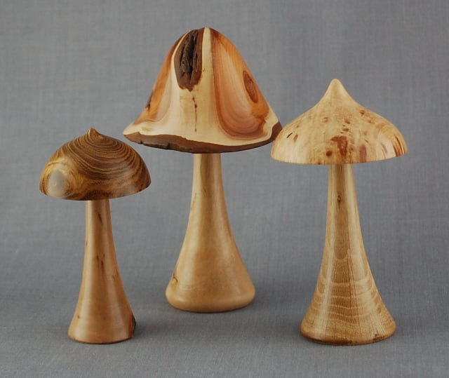 Woodland Toadstools - Folksy