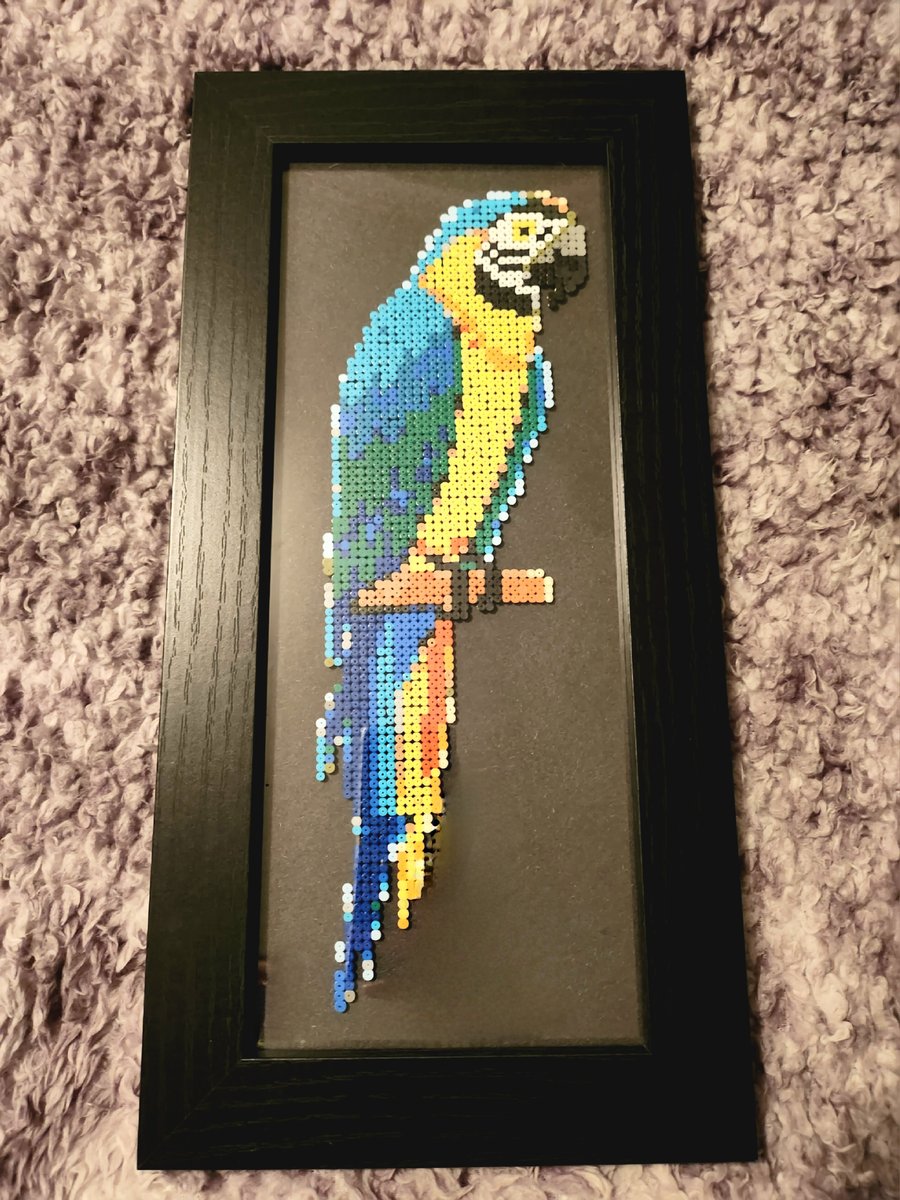Hama bead Blue Macaw framed wall picture - Folksy