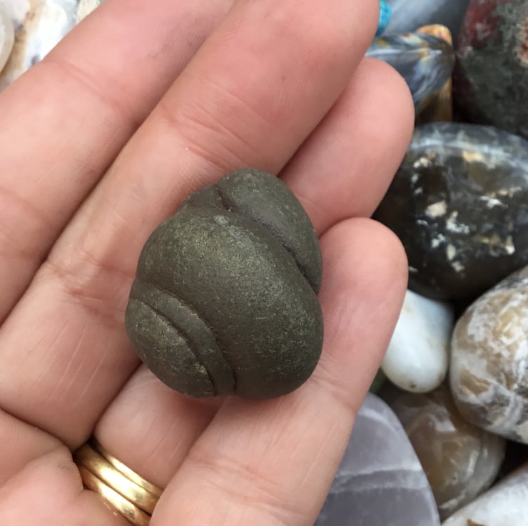 Ancient Coprolite! Pyrite Coprolite Fossilised... - Folksy