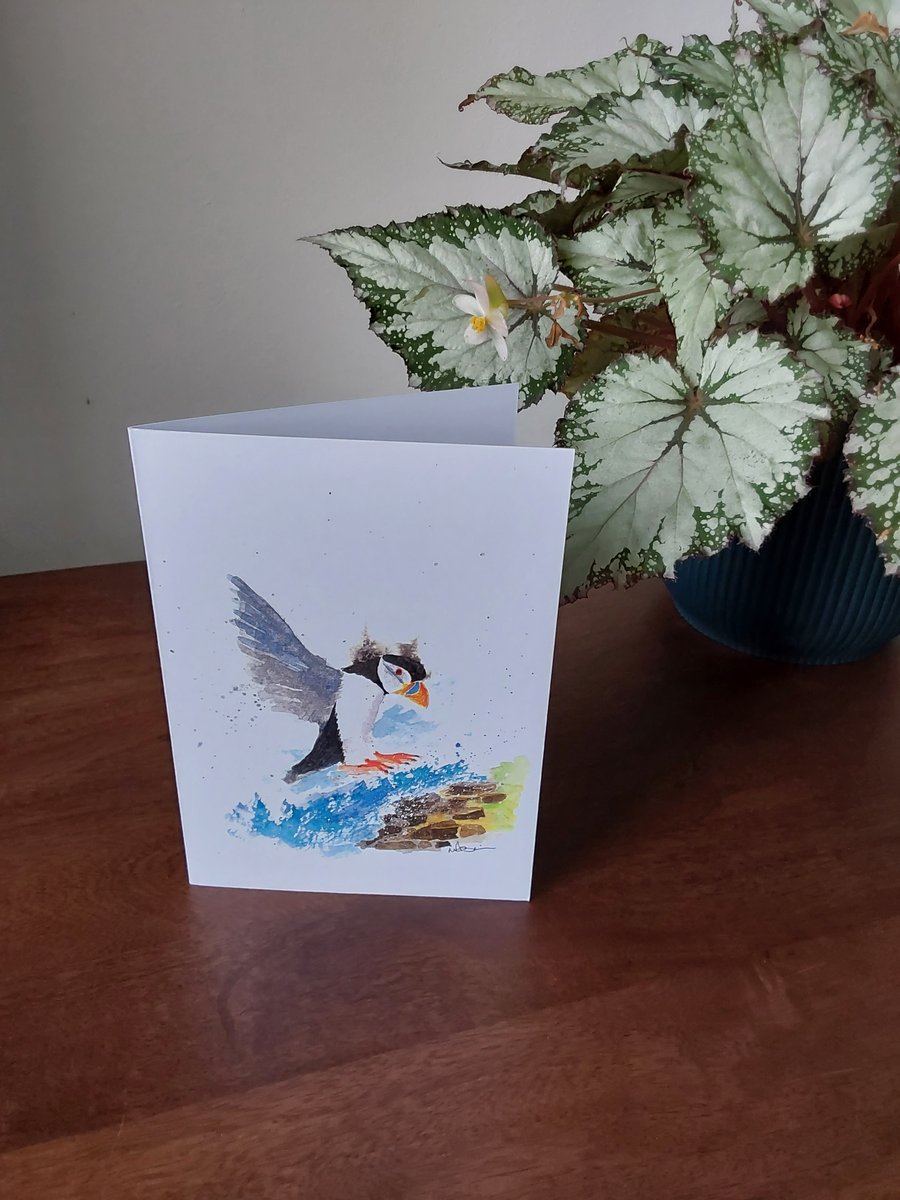 The puffin watercolour card. - Folksy