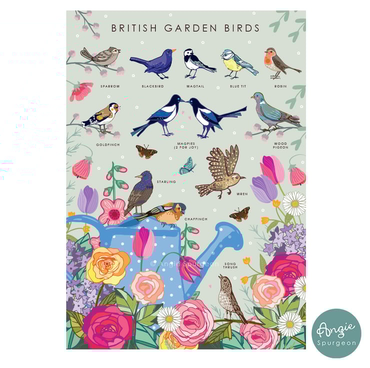 British Garden Birds Poster - Field Guide Poste... - Folksy