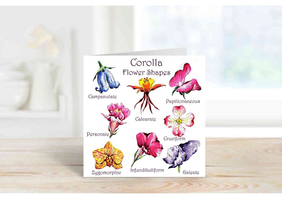 Corolla Flower Shapes - Art Card of Watercolour... - Folksy