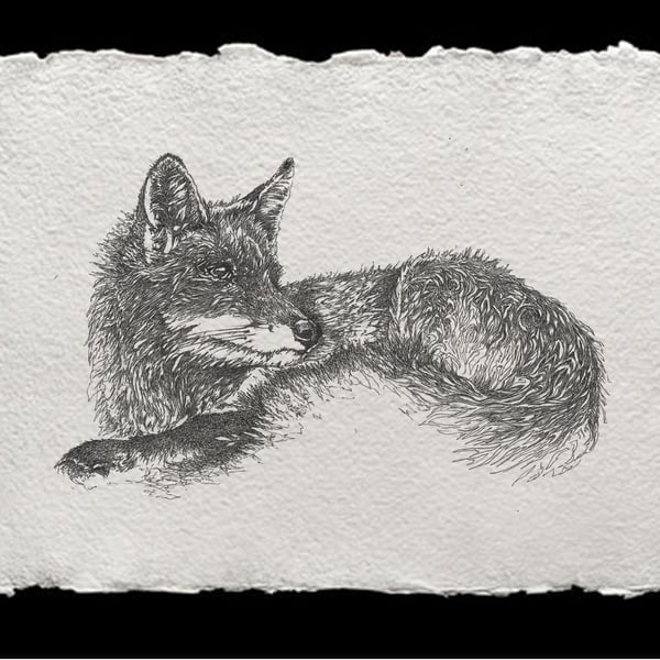 Foxy Lady - Folksy