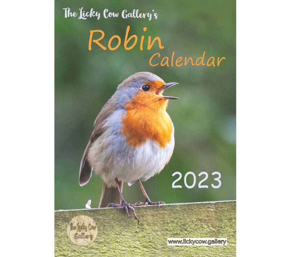 Robin 2023 Calendar A4 wire bound with hanger - Folksy