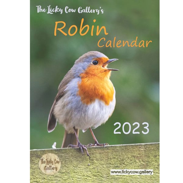 Robin 2023 Calendar A4 wire bound with hanger - Folksy