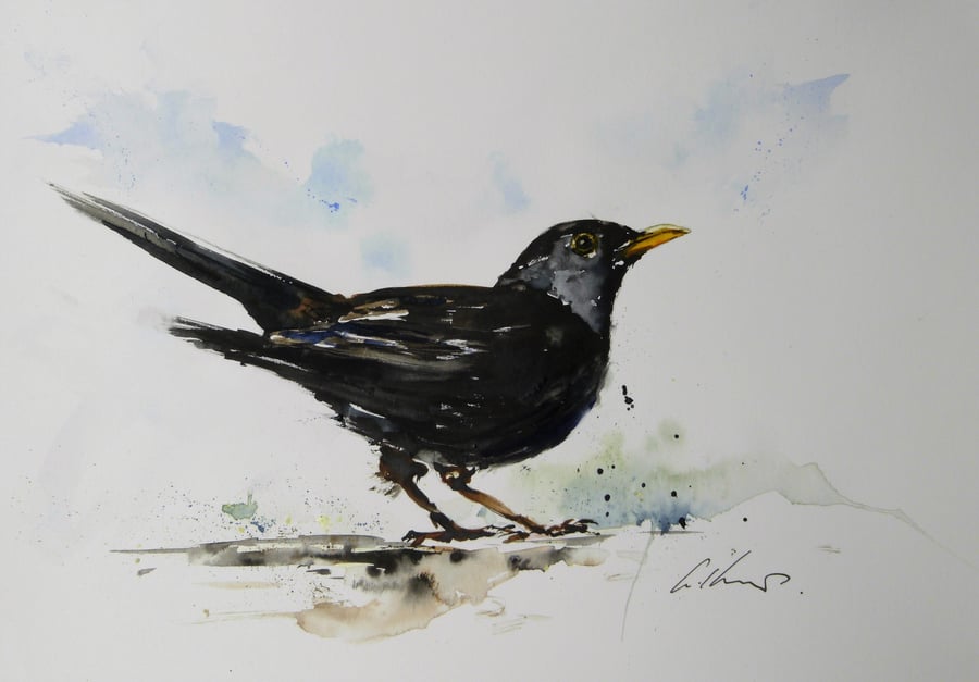 Blackbird, Original Watercolour Painting. - Folksy