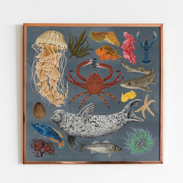 Kelp Forest Marine life square print, coastal w... - Folksy