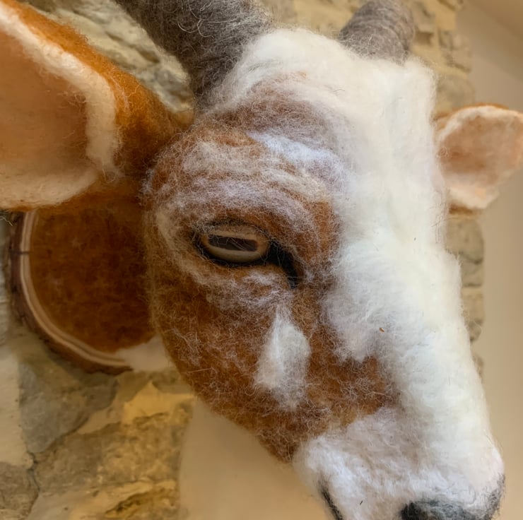 Handmade Faux Taxidermy Goats Head - Folksy