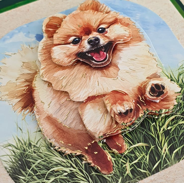 Pomeranian Birthday Card & Box, Decoupaged ... - Folksy