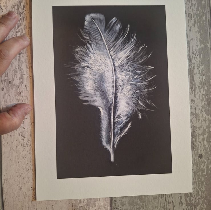 White feather drawing, Giclee prints, White on ... - Folksy