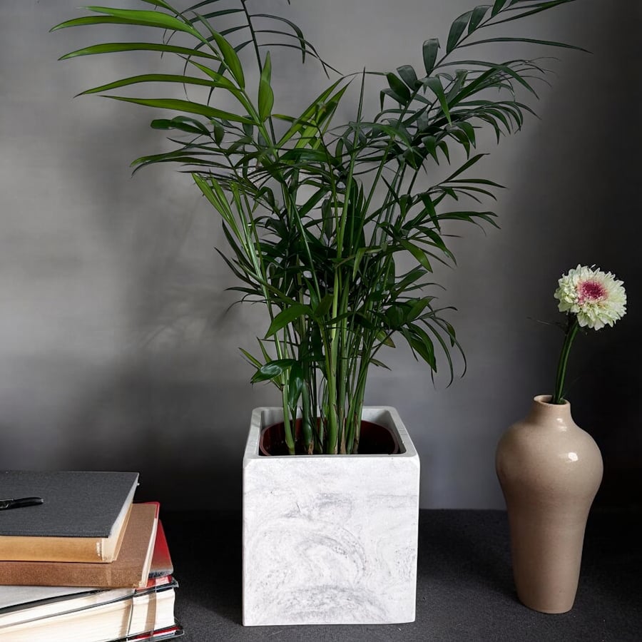 Square Plant Pot with Rounded Edges - White Mar... - Folksy