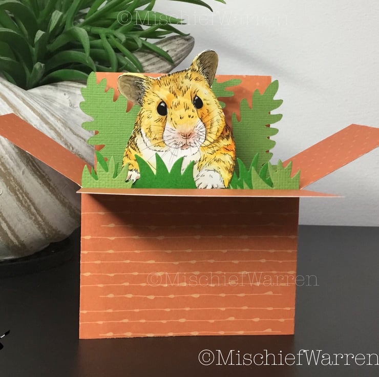 Hamster 3D Box Card. Blank or personalised for ... - Folksy