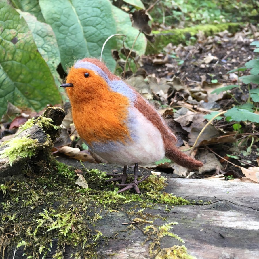 British garden birds, needle felted robin redbr... - Folksy