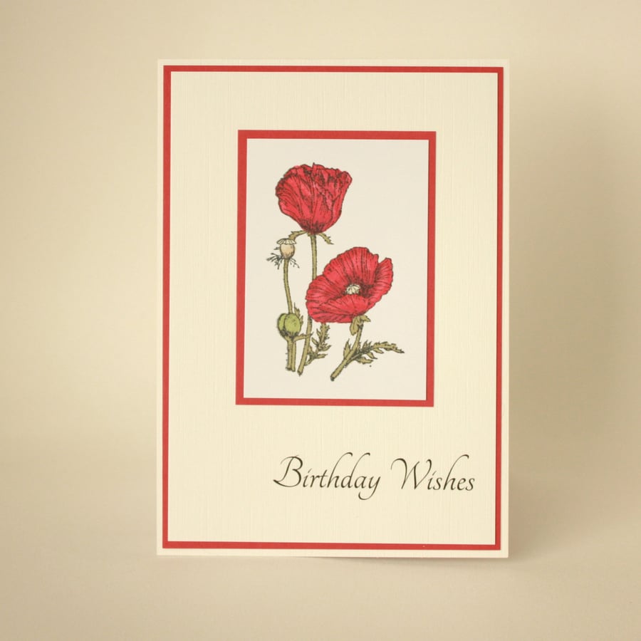 Poppy Birthday card - Folksy