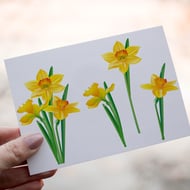Daffodil Birthday Card, Flower Birthday Card, P... - Folksy