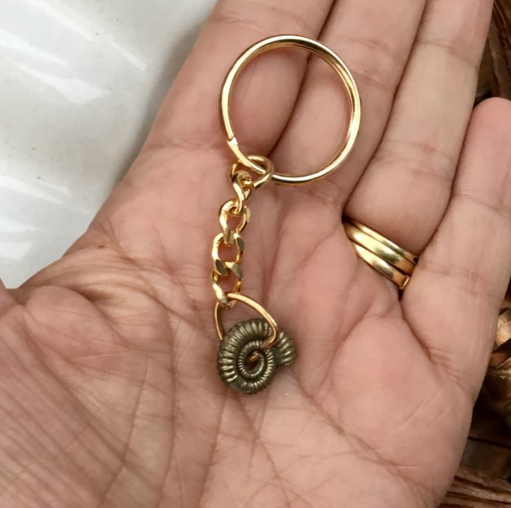 Small Prestige Golden Pyrite Ammonite Fossil Ke... - Folksy