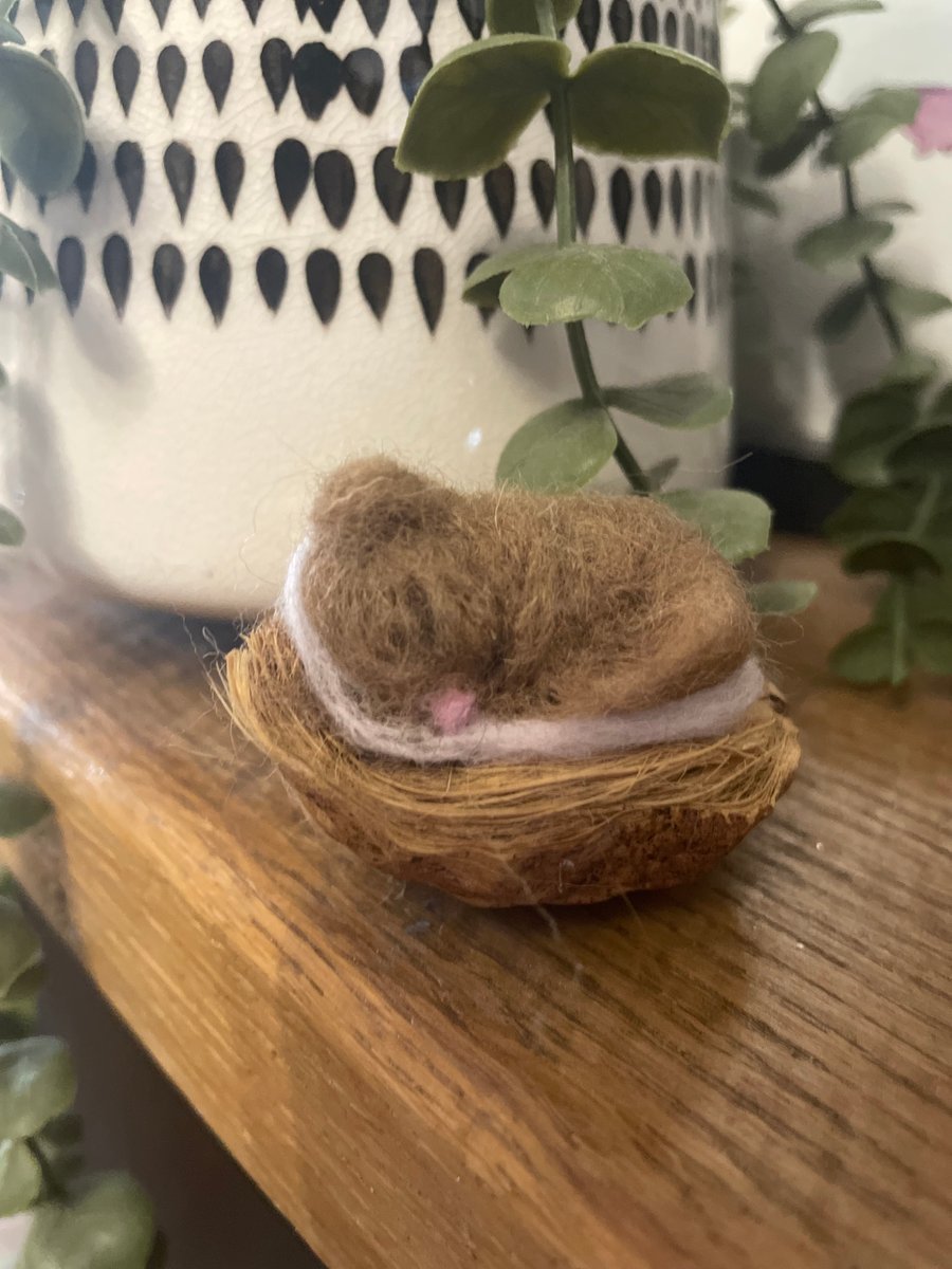 Needle felted sleeping mouse - Folksy