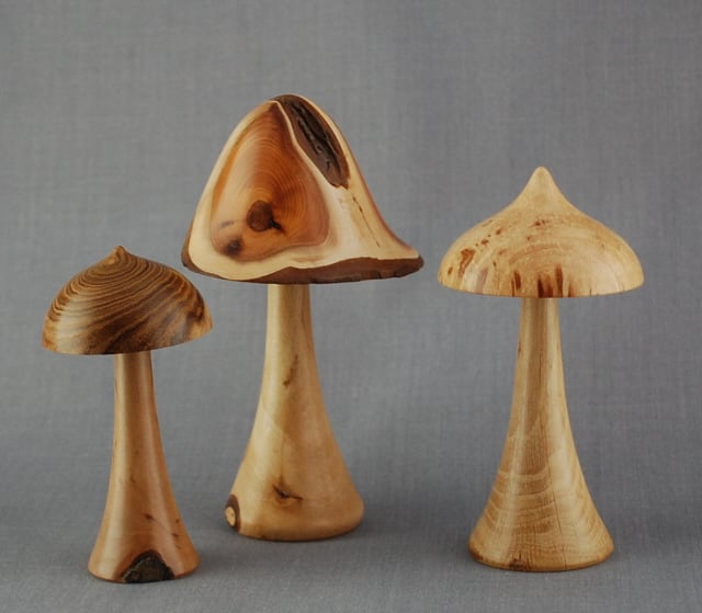 Woodland Toadstools - Folksy