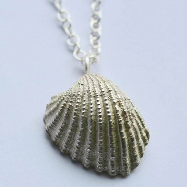 Silver Shell Necklace - Folksy