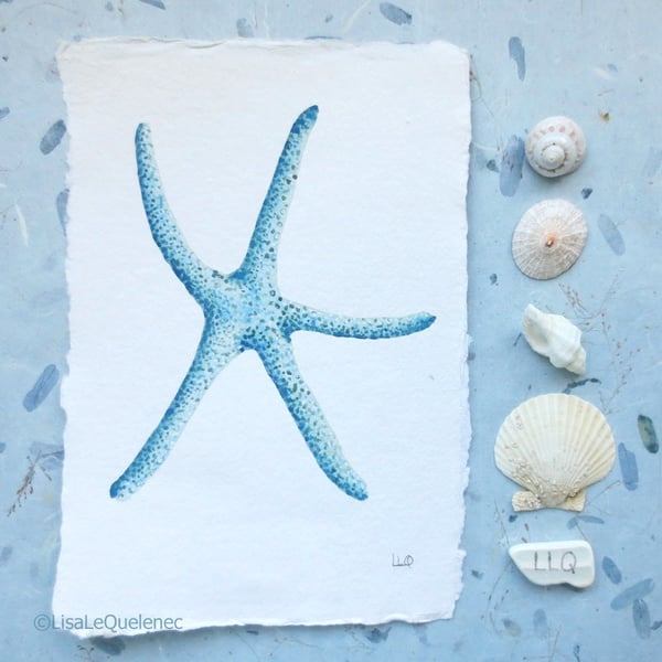 Shell collection by Seaside Studios UK on Folksy