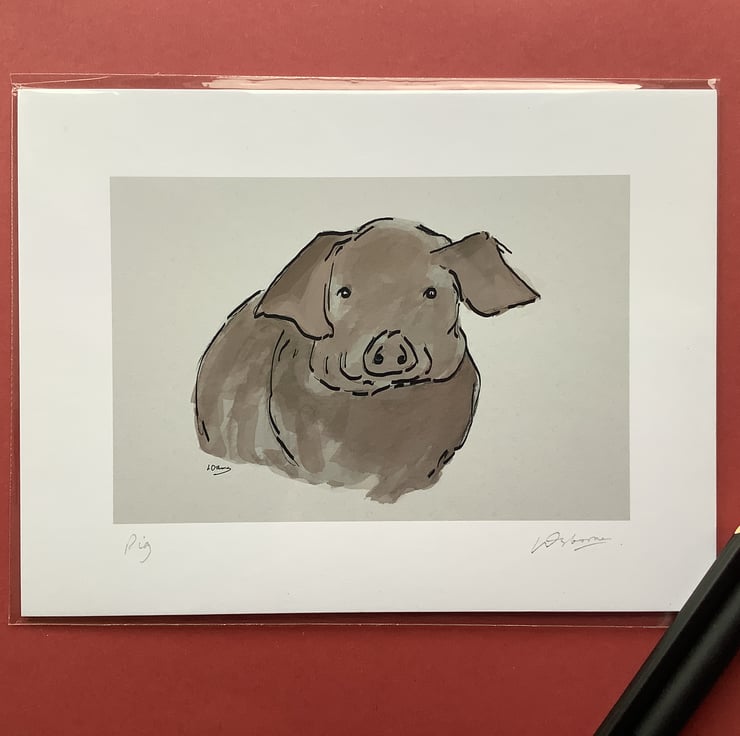 Pig - signed print from digital illustration - Folksy