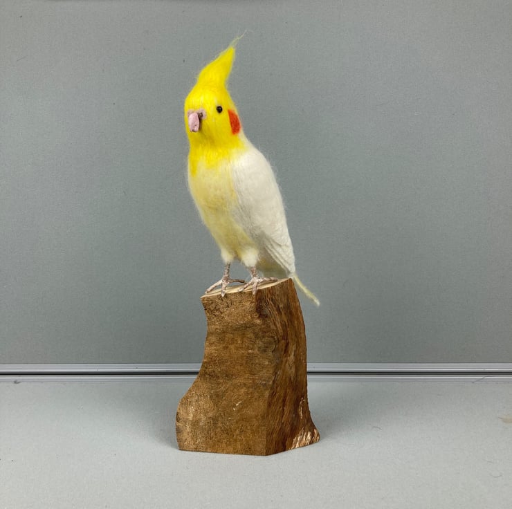 White needle felted cockatiel - Folksy