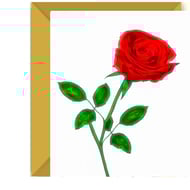 Single Red Rose, Greeting Card - Folksy