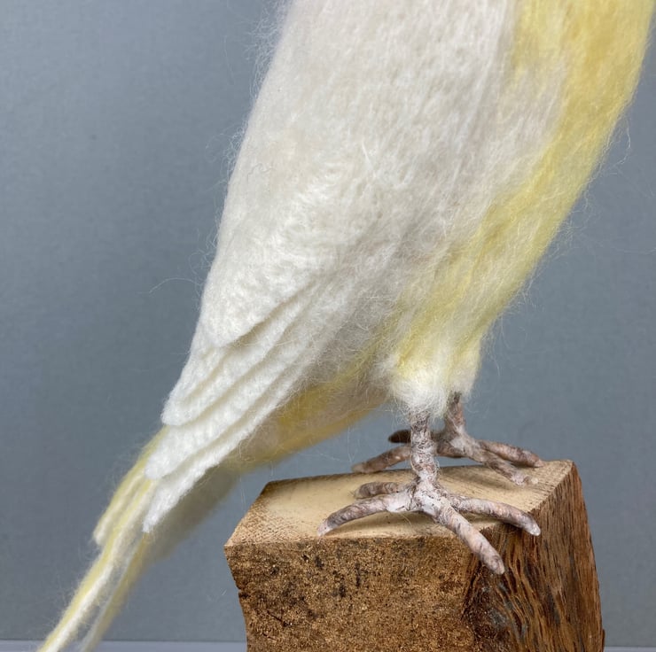 White needle felted cockatiel - Folksy