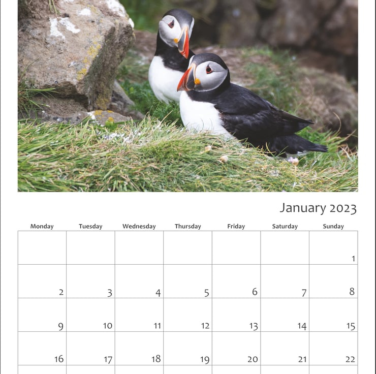 Puffin 2023 Calendar A4 wire bound with hanger - Folksy