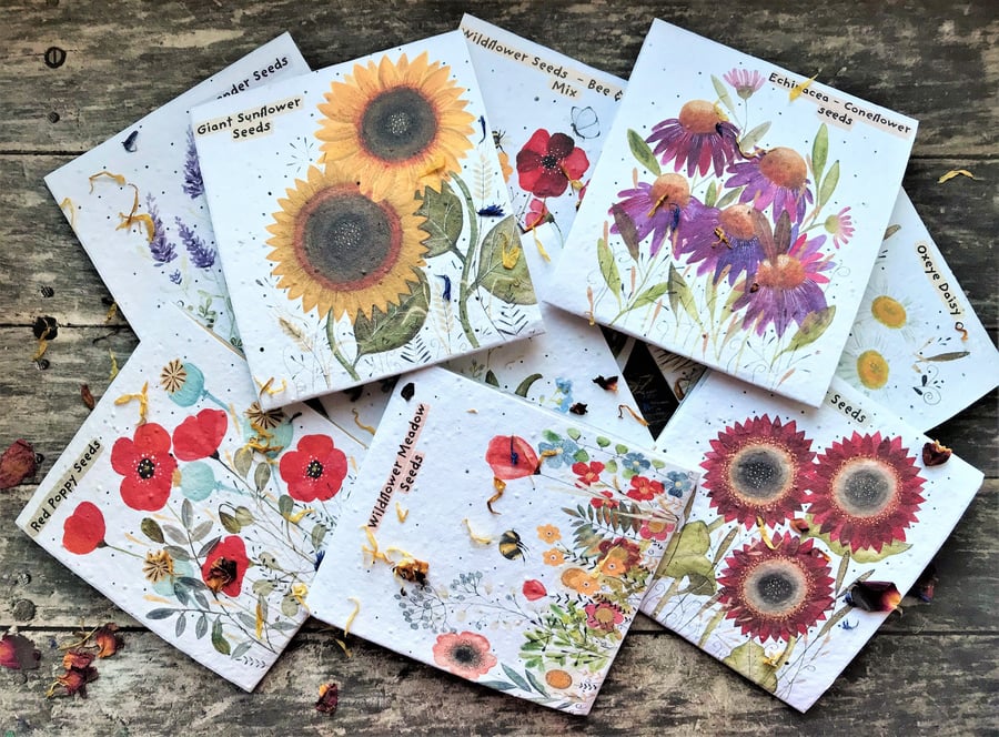 Pack of 9 Assorted Flower Seed Packets,Beautifu... - Folksy